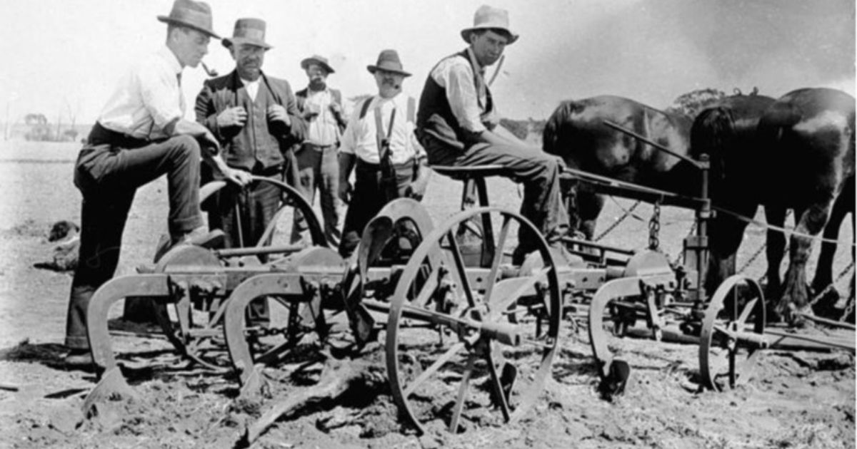 The cleverest people in the country - Invest Inya Farmer